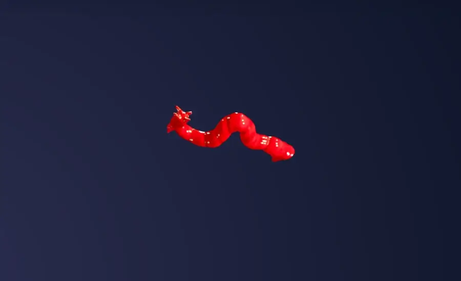 Bloodworm - COTW: The Angler Wiki